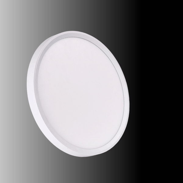Cerian Lighting: 24W LED Modern surface mount ceiling light White, 300 ...