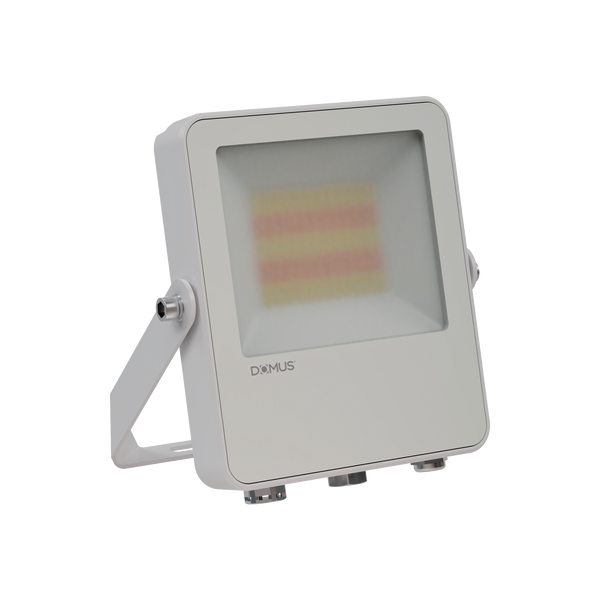 Domus BLAZE PRO MARINE Flood Light – ONE STOP LIGHTING